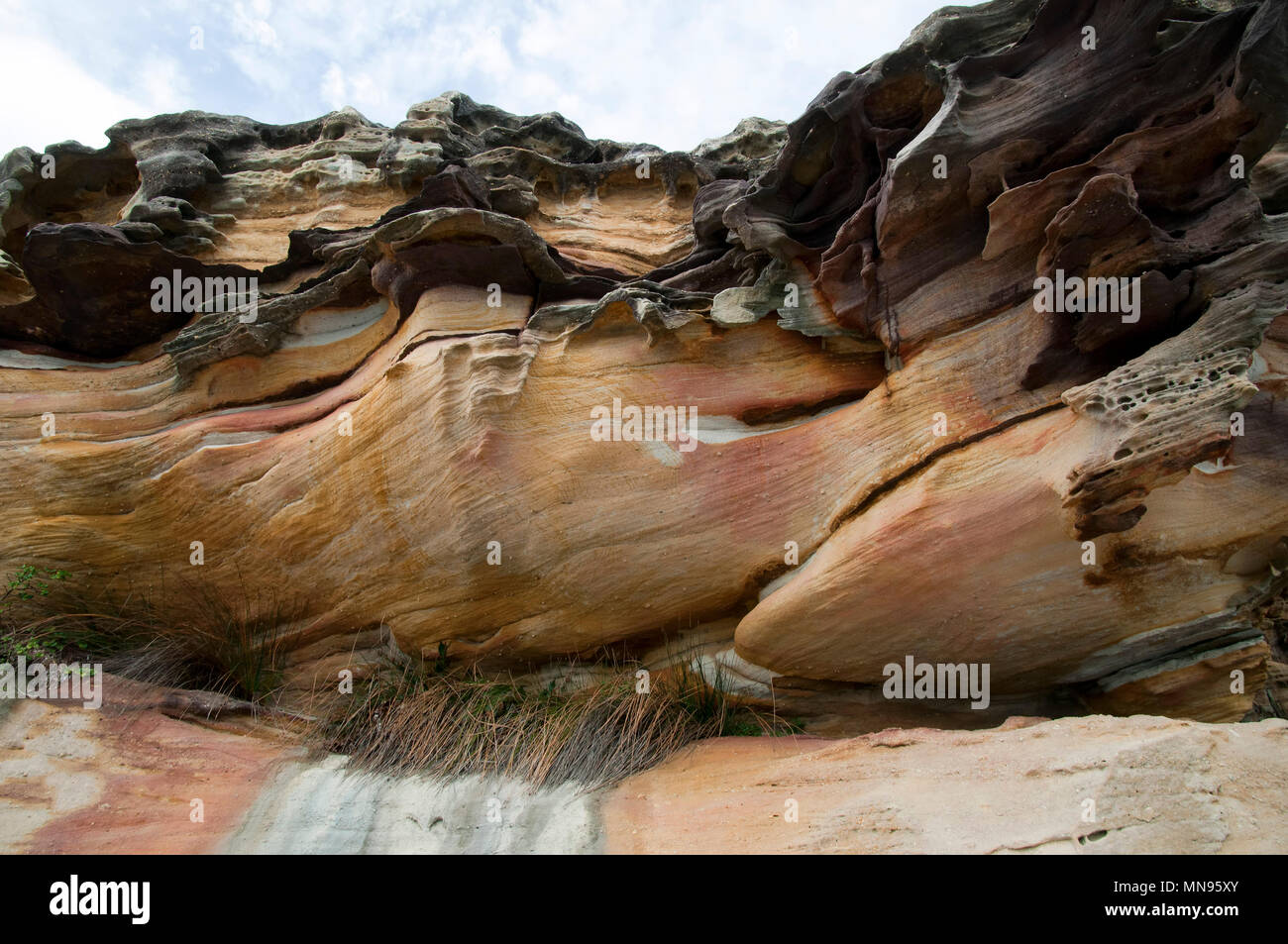 Sydney sandstone rock erosion hi-res stock photography and images - Alamy