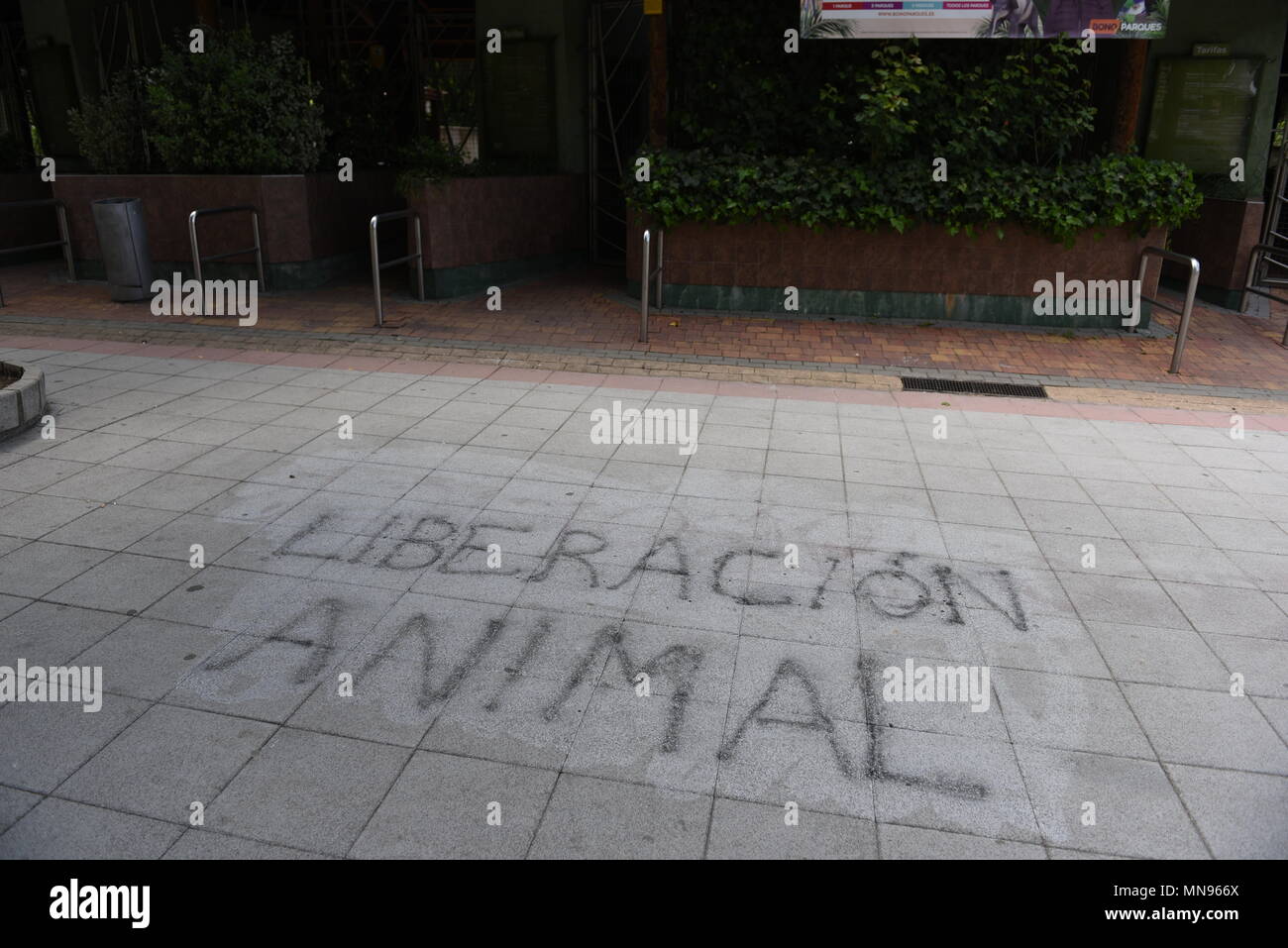 Zoo animals graffiti hi-res stock photography and images - Alamy