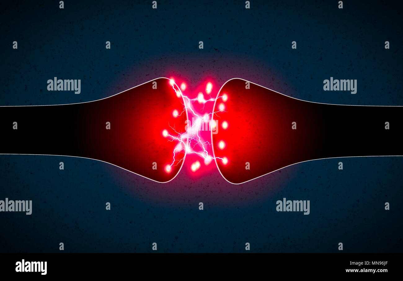 Synapse Is A Structure That Permits A Neuron Or Nerve Cell To Pass An