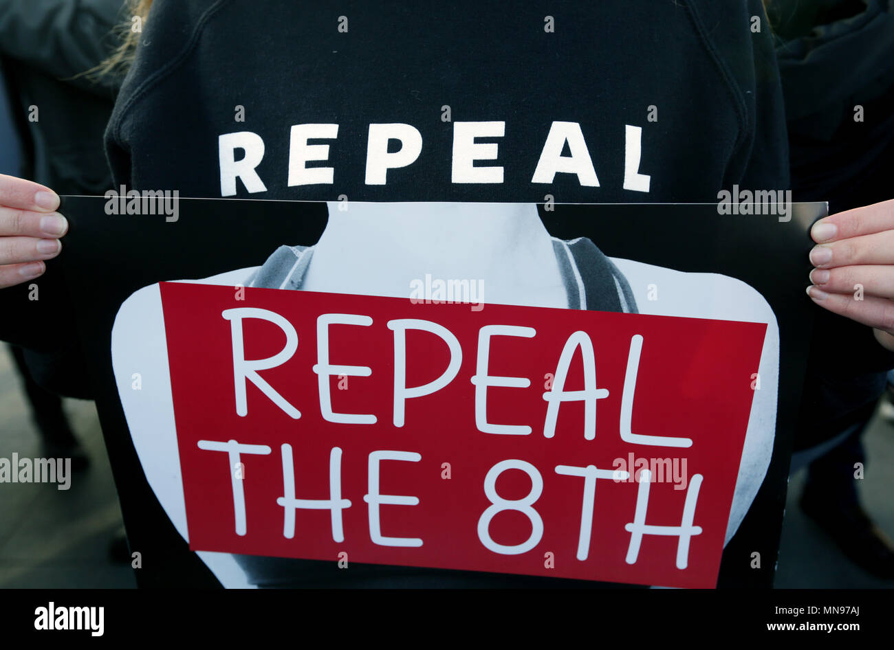 The Eighth Amendment