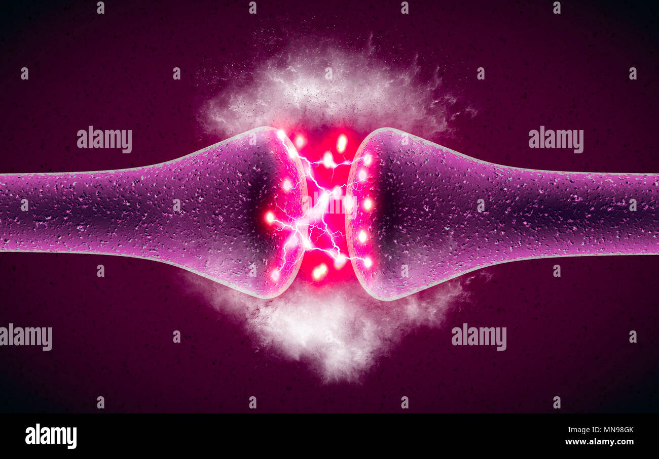 Synapse is a structure that permits a neuron (or nerve cell) to pass an ...