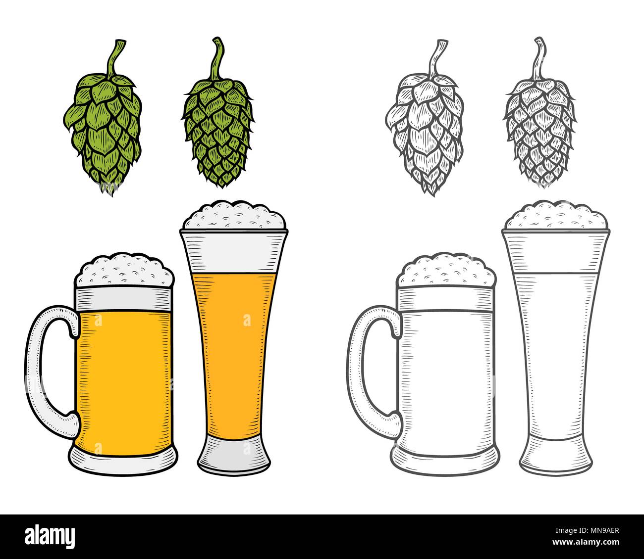 Two glasses of beer with wreath of hops Vintage engraving illustration ...