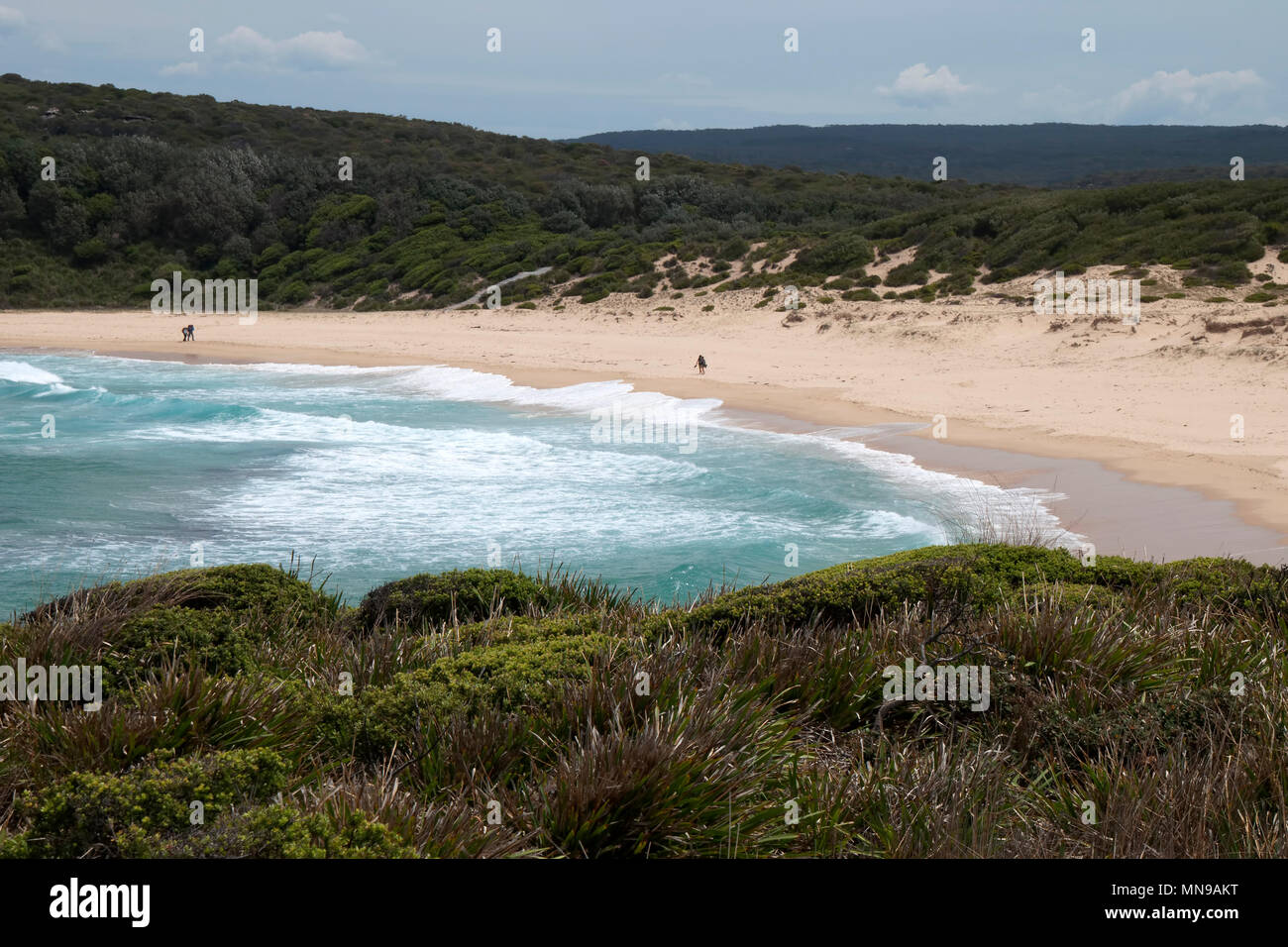 Bundeena Australia, landscape of Big Marley beach in the Royal National ...