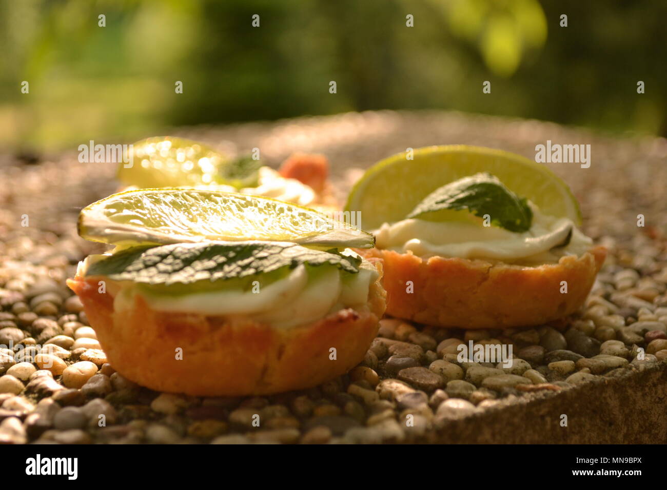 Stony table hi-res stock photography and images - Alamy