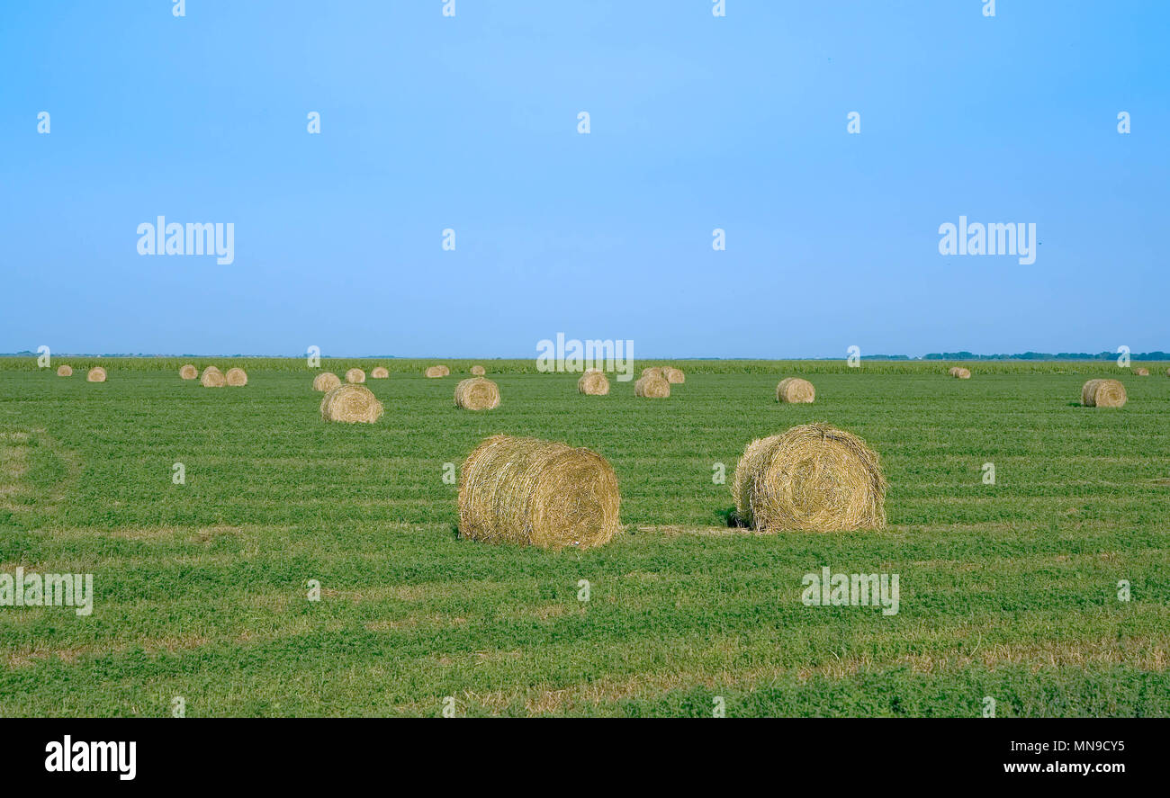 Round balls of straw hi-res stock photography and images - Alamy