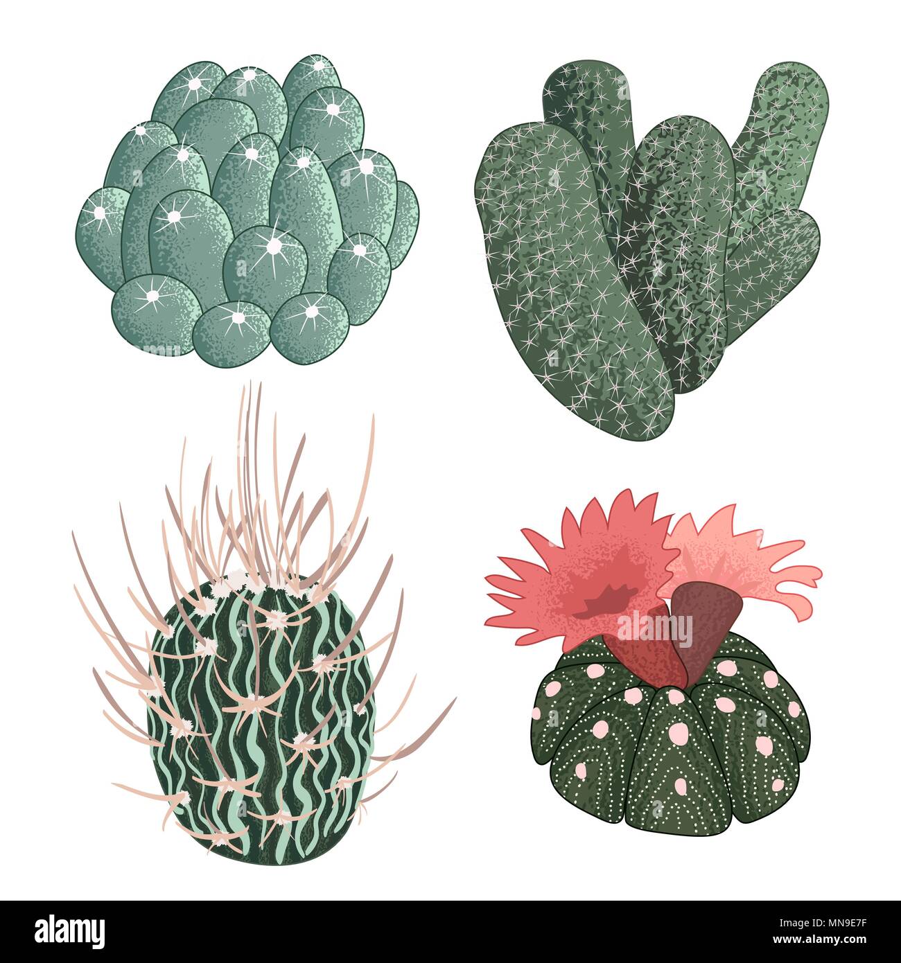 Set Of Cactuses Hand Drawn Vector Illustration Stock Vector Image