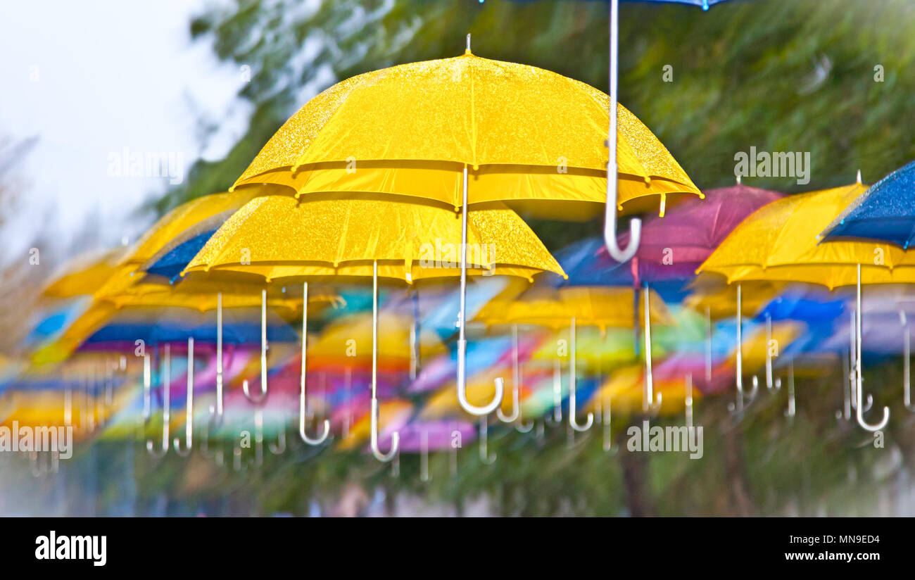 The many multicoloured umbrellas Stock Photo - Alamy