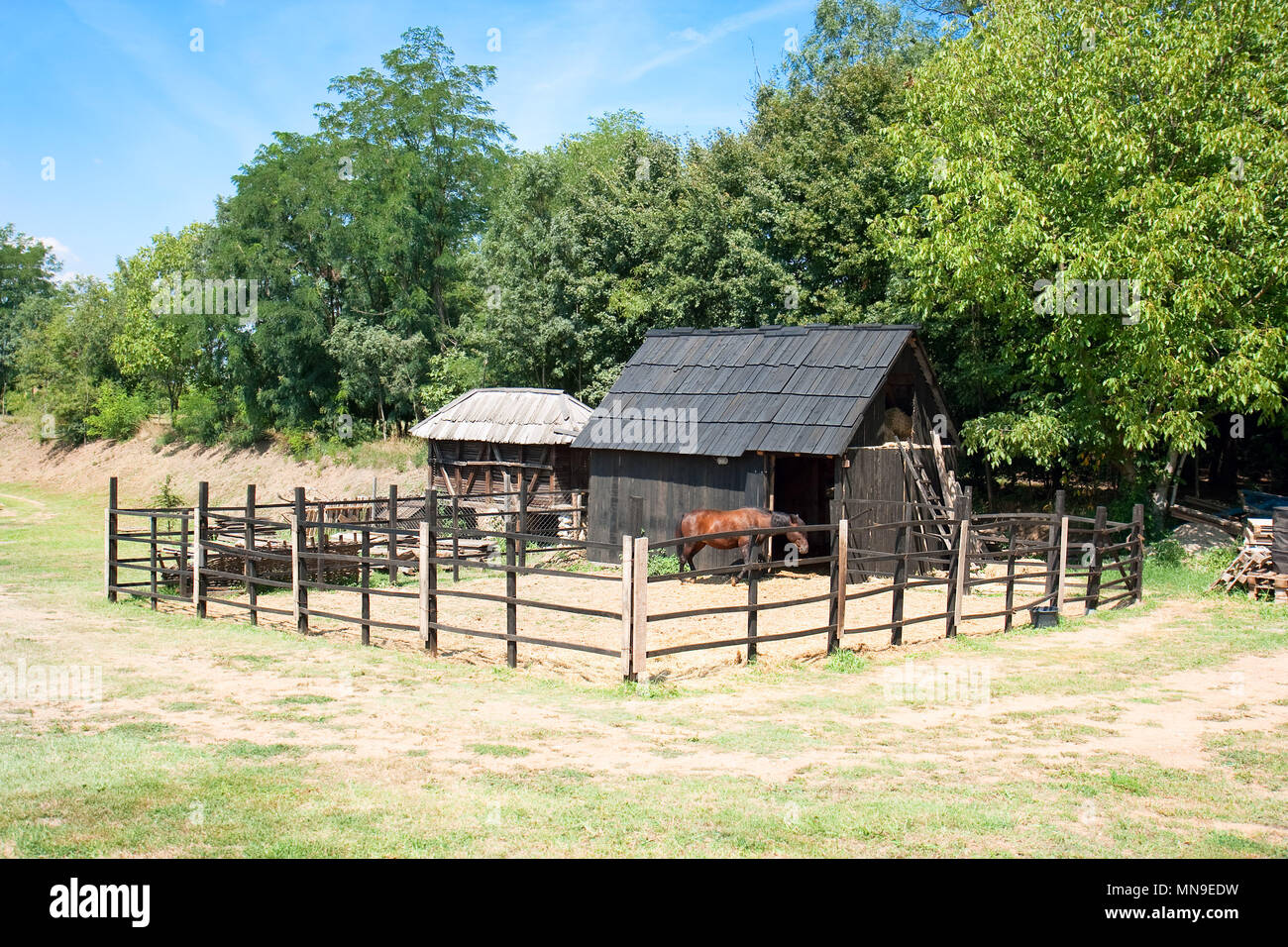 Velika plana hi-res stock photography and images - Alamy