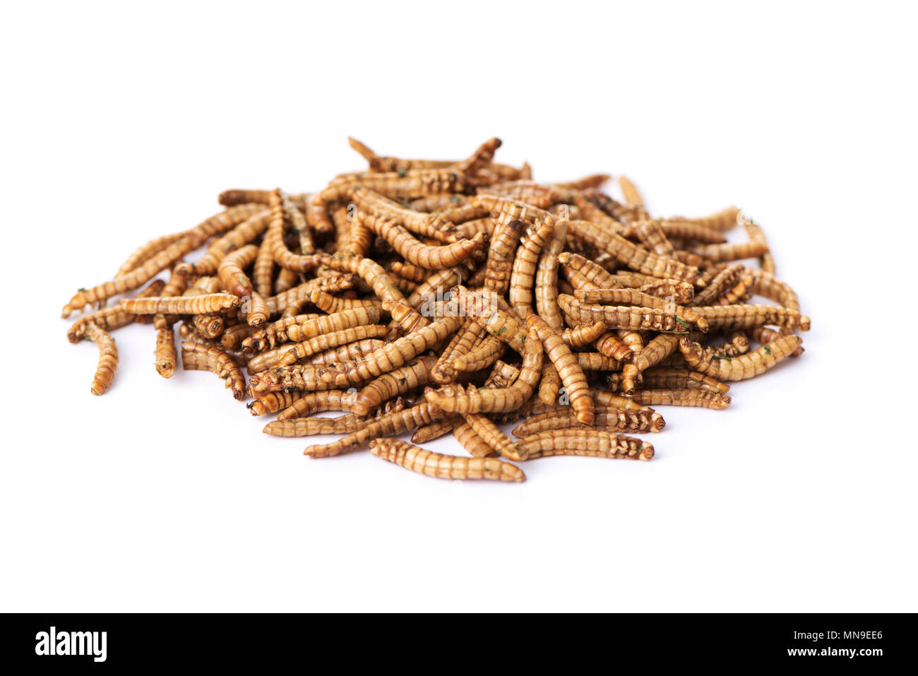 a pile of fried worms seasoned with garlic and herbs, on a white ...