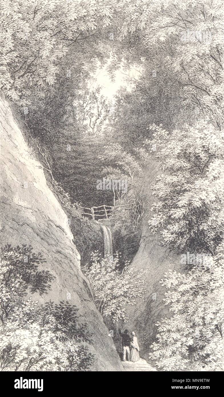 ISLE OF WIGHT. Shanklin Chine. Waterfall 1864 old antique print picture ...
