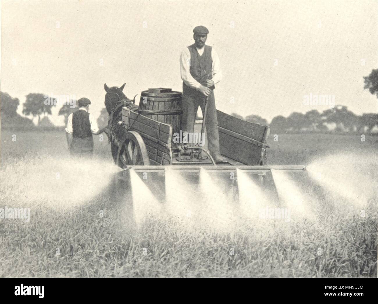 FARMING. Charlock-Spraying by Hand-Power from an Ordinary Farm-Cart ...