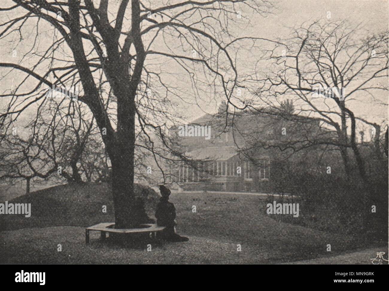 CHELSEA. The Rectory, from the garden. SMALL 1900 old antique print ...