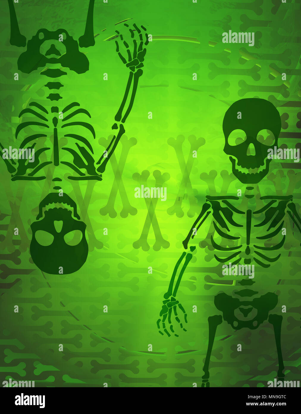 Skeleton shadow, dim color x-ray light green abstract 3d illustration ...