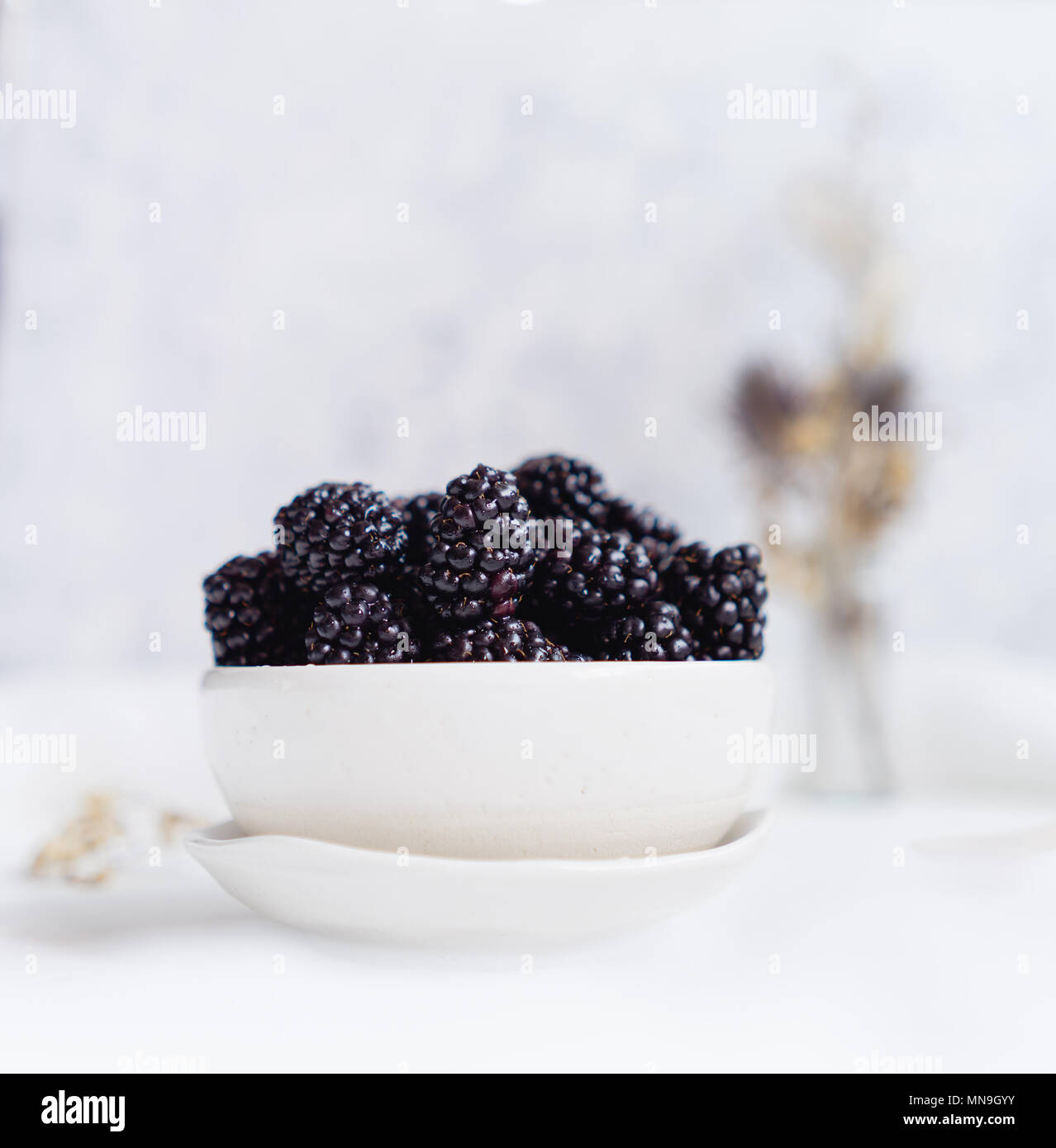 Blackberries, white background Stock Photo - Alamy