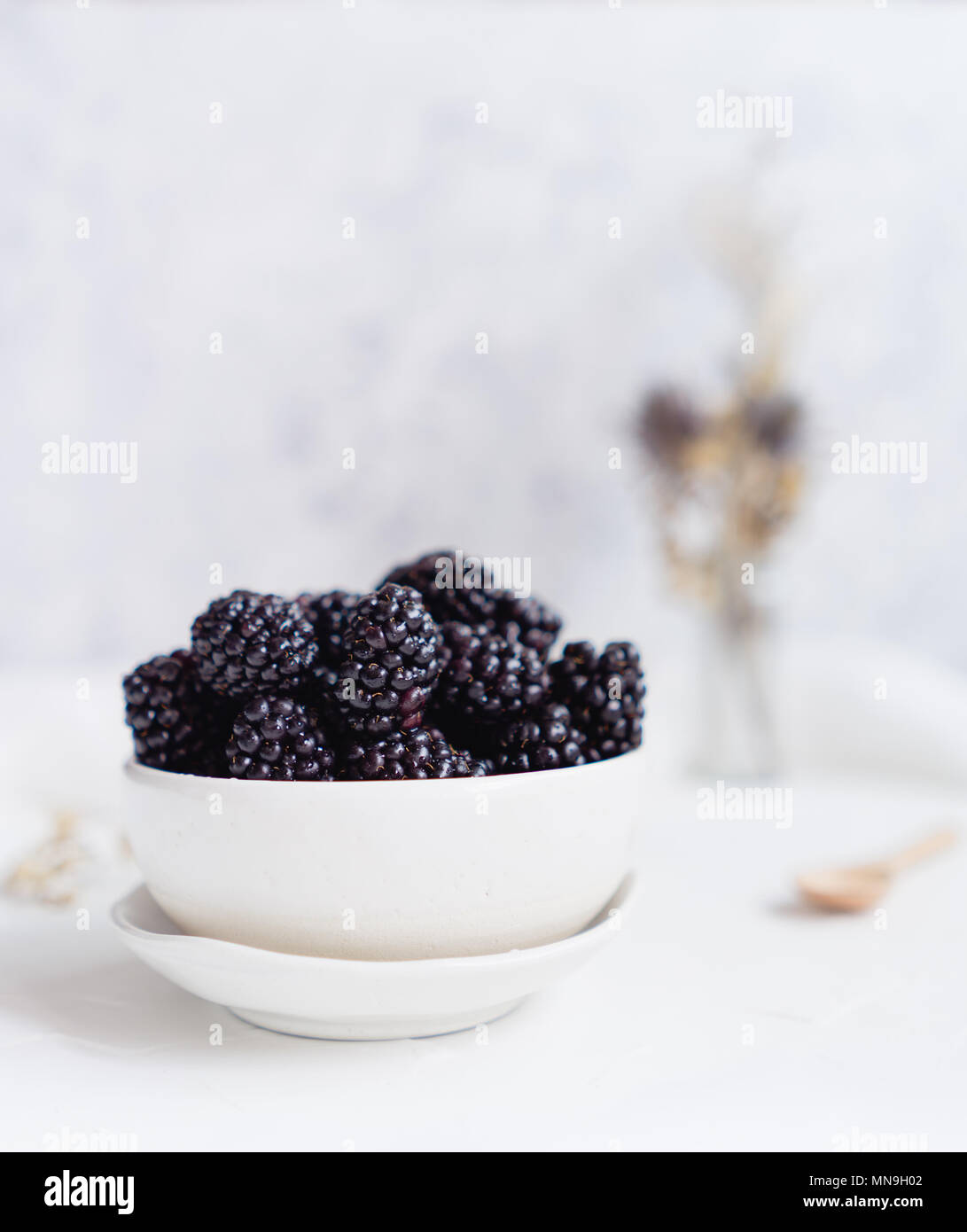 Blackberries, white background Stock Photo - Alamy