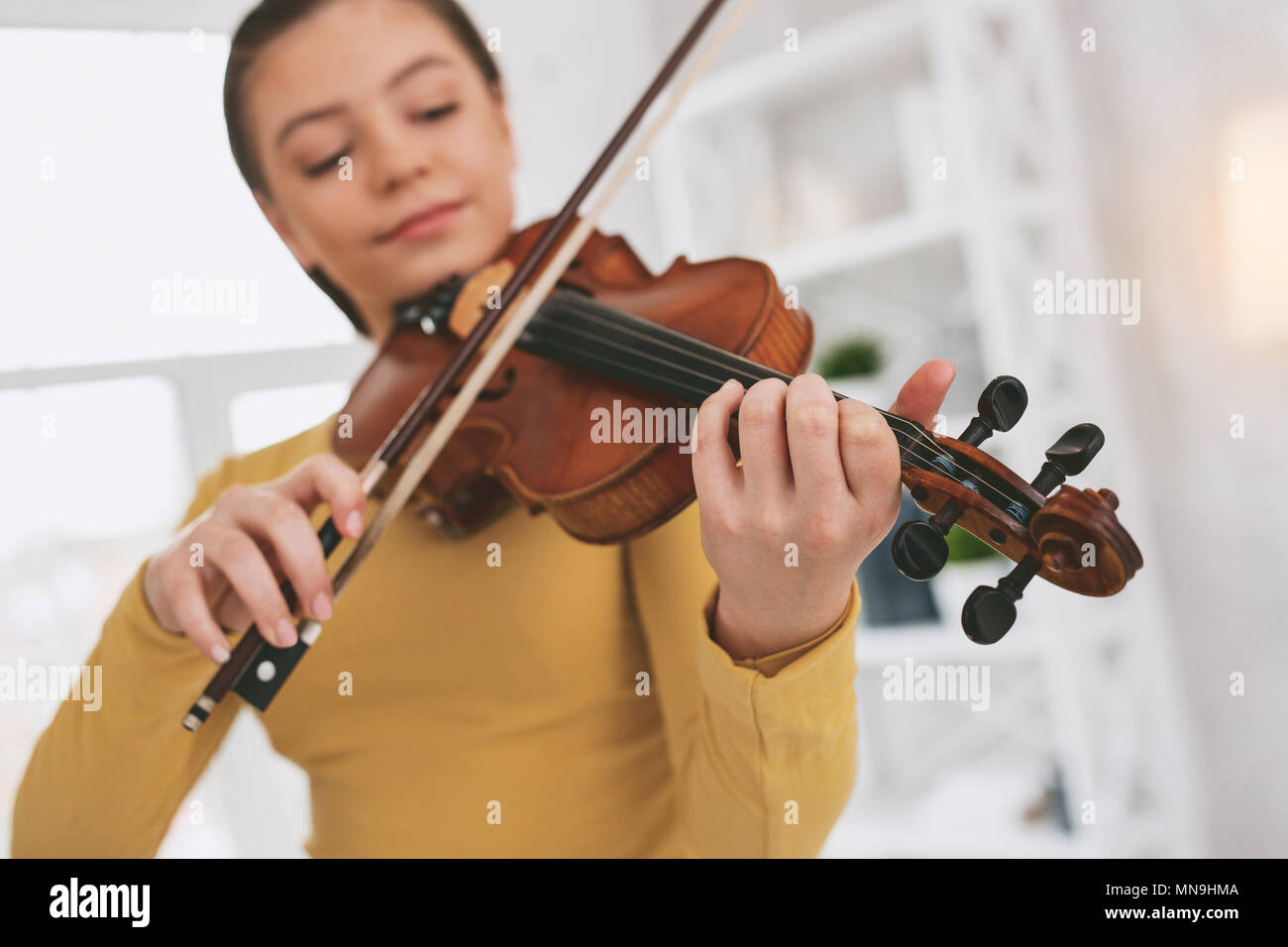 Focused photo on female hands that holding violin Stock Photo - Alamy