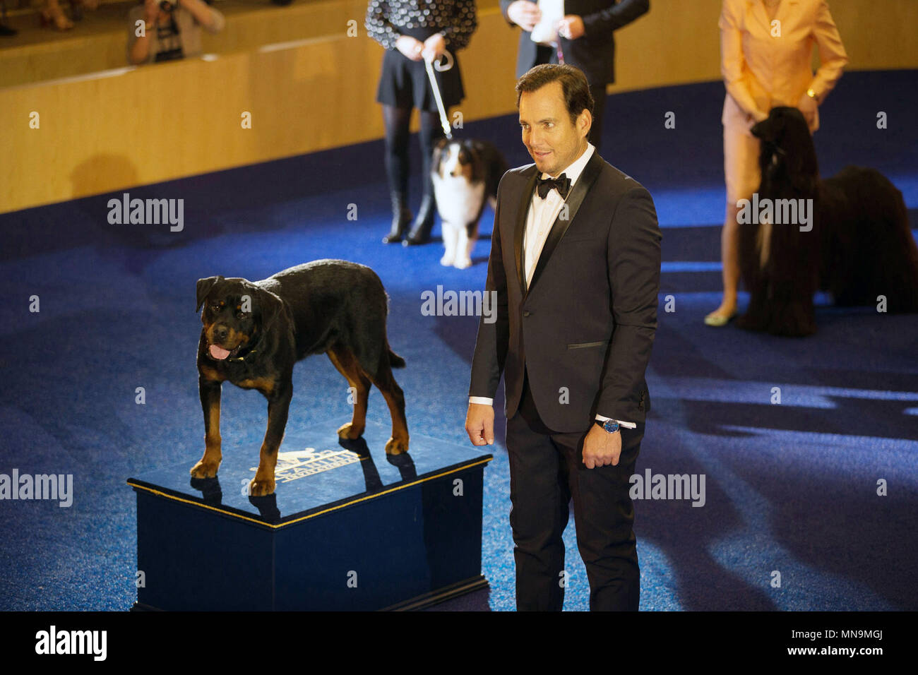 SHOW DOGS, from left: Max (voice: Ludacris), Will Arnett, 2018. ph ...