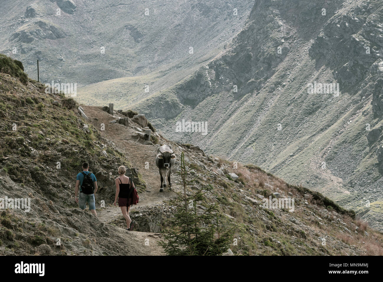 South Tyrol - Meran 2000. Südtirol - Meran 2000 Stock Photo - Alamy