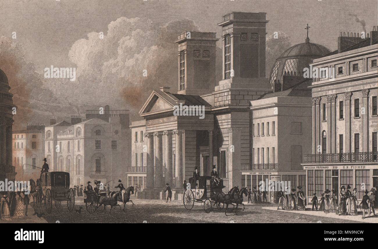 Cockerell hi-res stock photography and images - Alamy