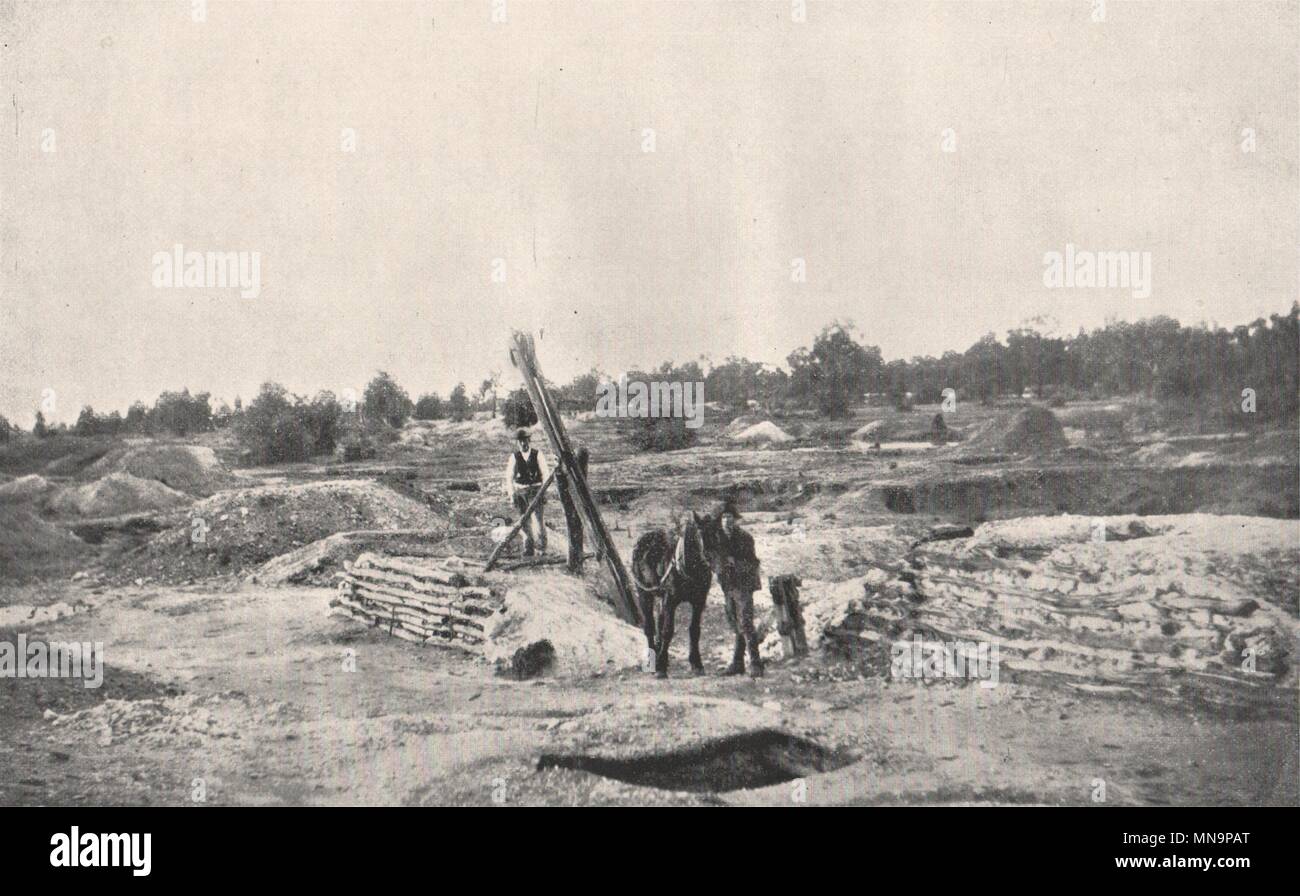 Alluvial Mining - Hauling Wash-Dirt with Horse Whip. Victoria ...