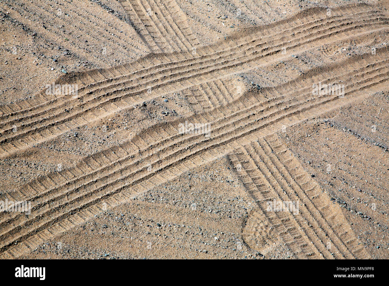 Crossed tyre tracks in the desert sand in the Mojave, or high desert ...