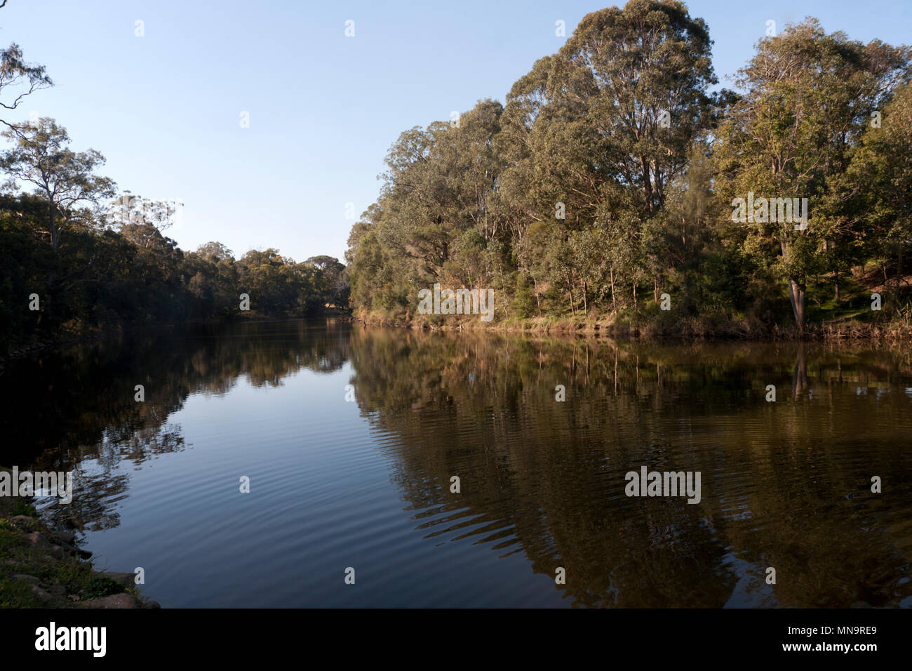 Paramatta park hi-res stock photography and images - Alamy