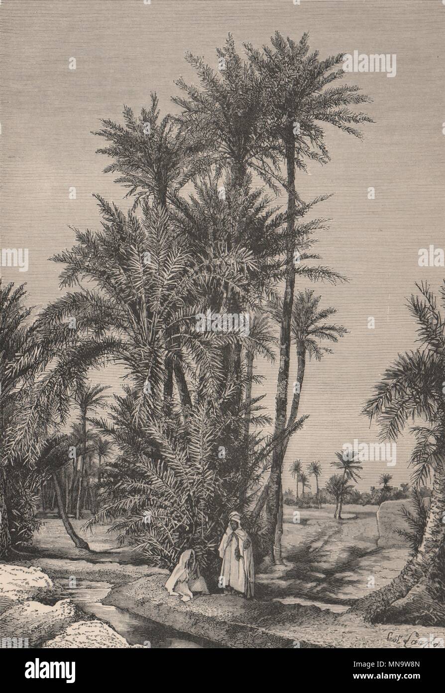 The Kufra Oasis. Libya. The Kufra Oases 1885 old antique vintage print ...