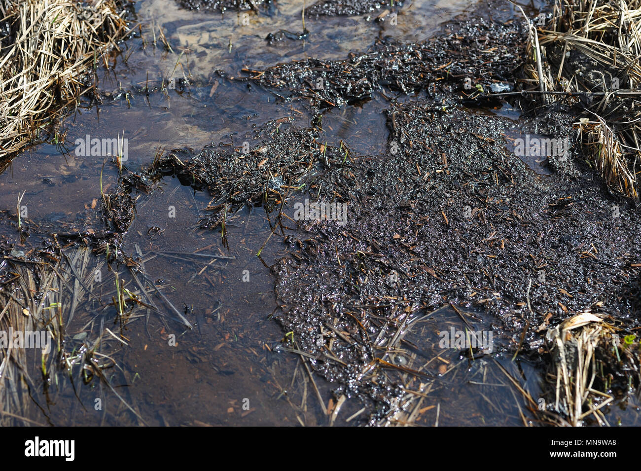 Drop the water level in the stream. The appearance of bumps with dry ...