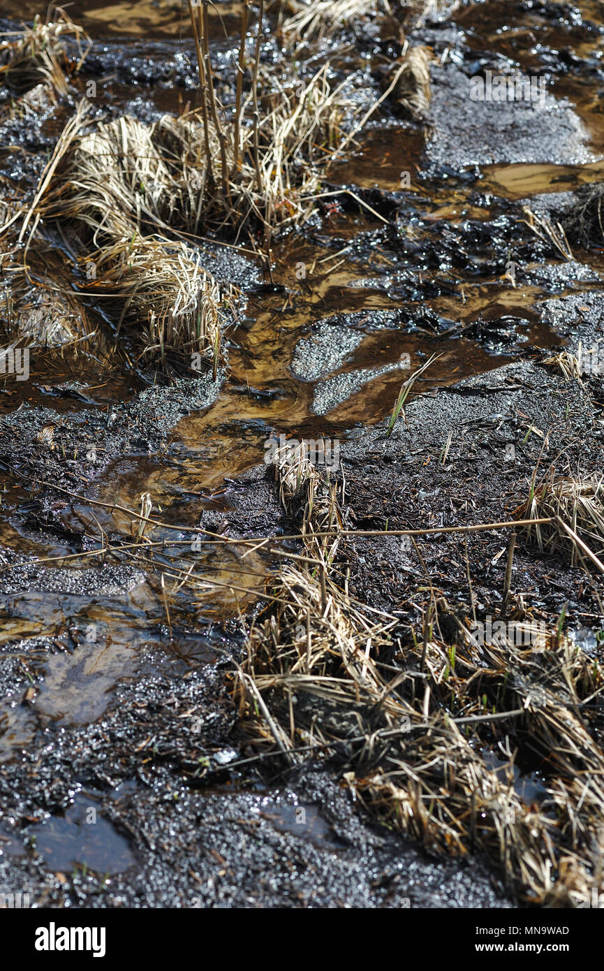 Drop the water level in the stream. The appearance of bumps with dry ...