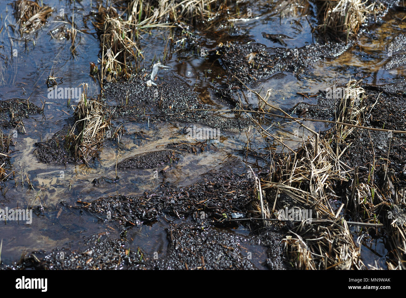 Drop the water level in the stream. The appearance of bumps with dry ...