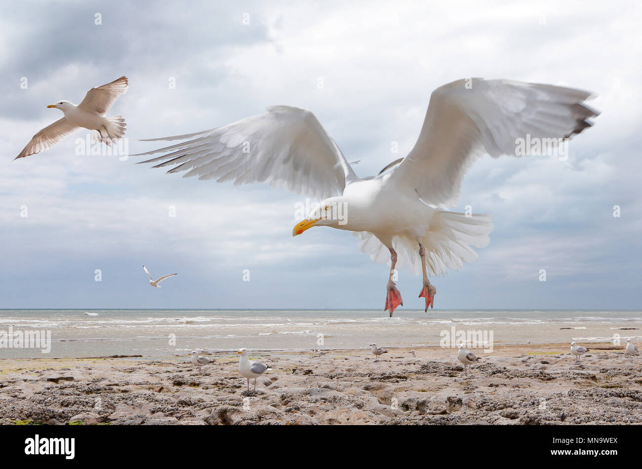 In the atlantic ocean june 10 hi-res stock photography and images - Alamy