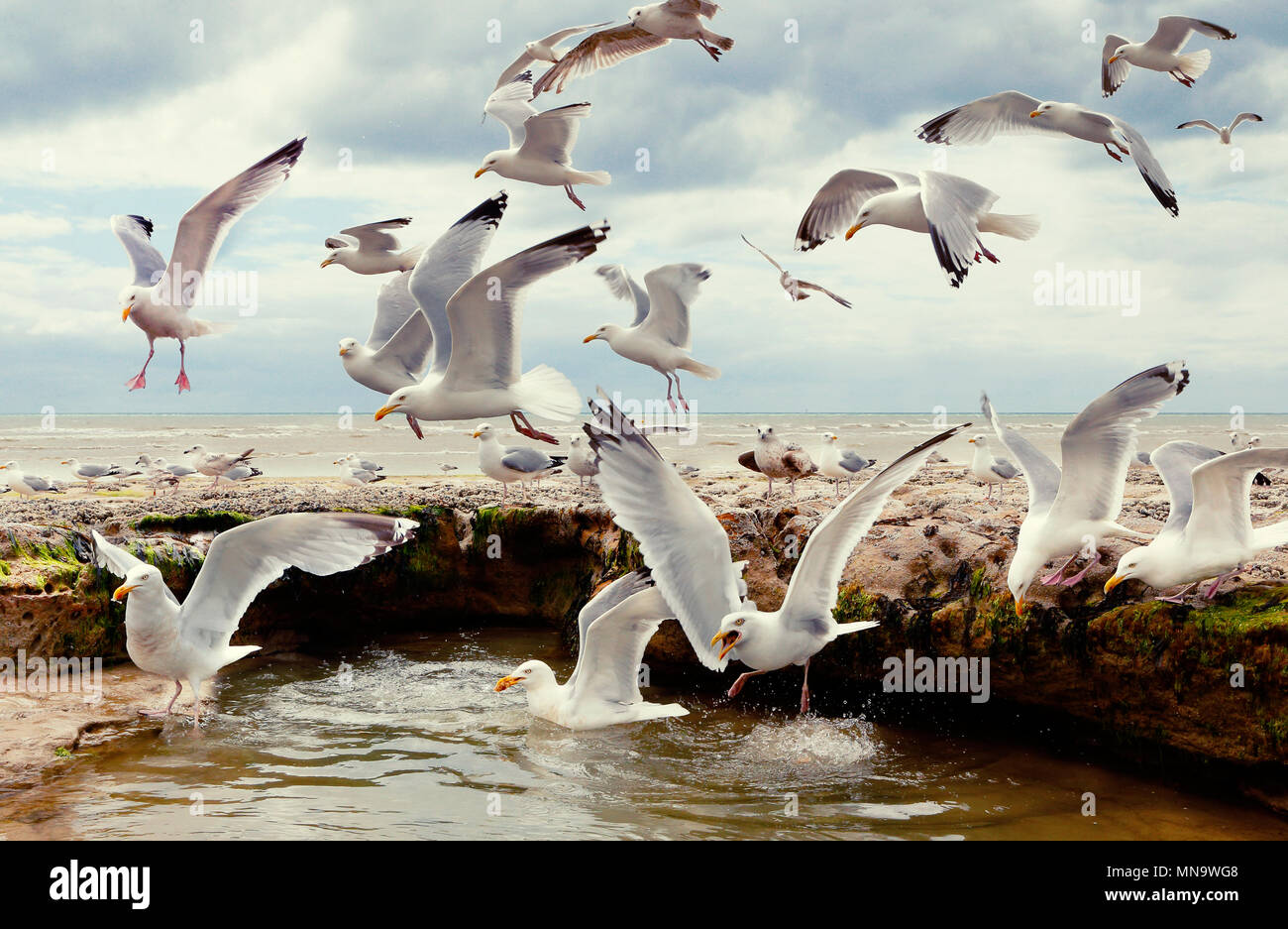 Ebbed hi-res stock photography and images - Alamy