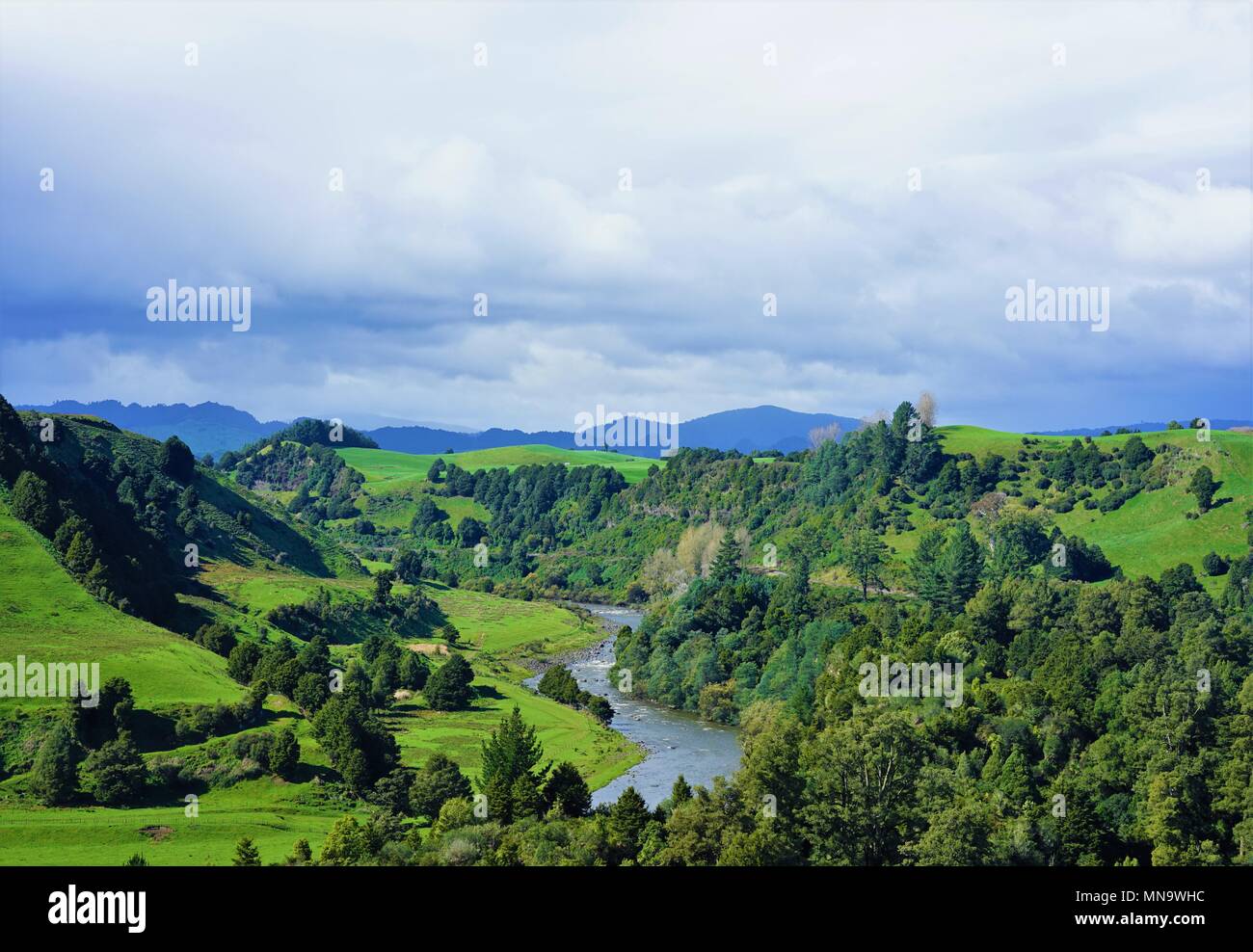 Piriaka hi-res stock photography and images - Alamy