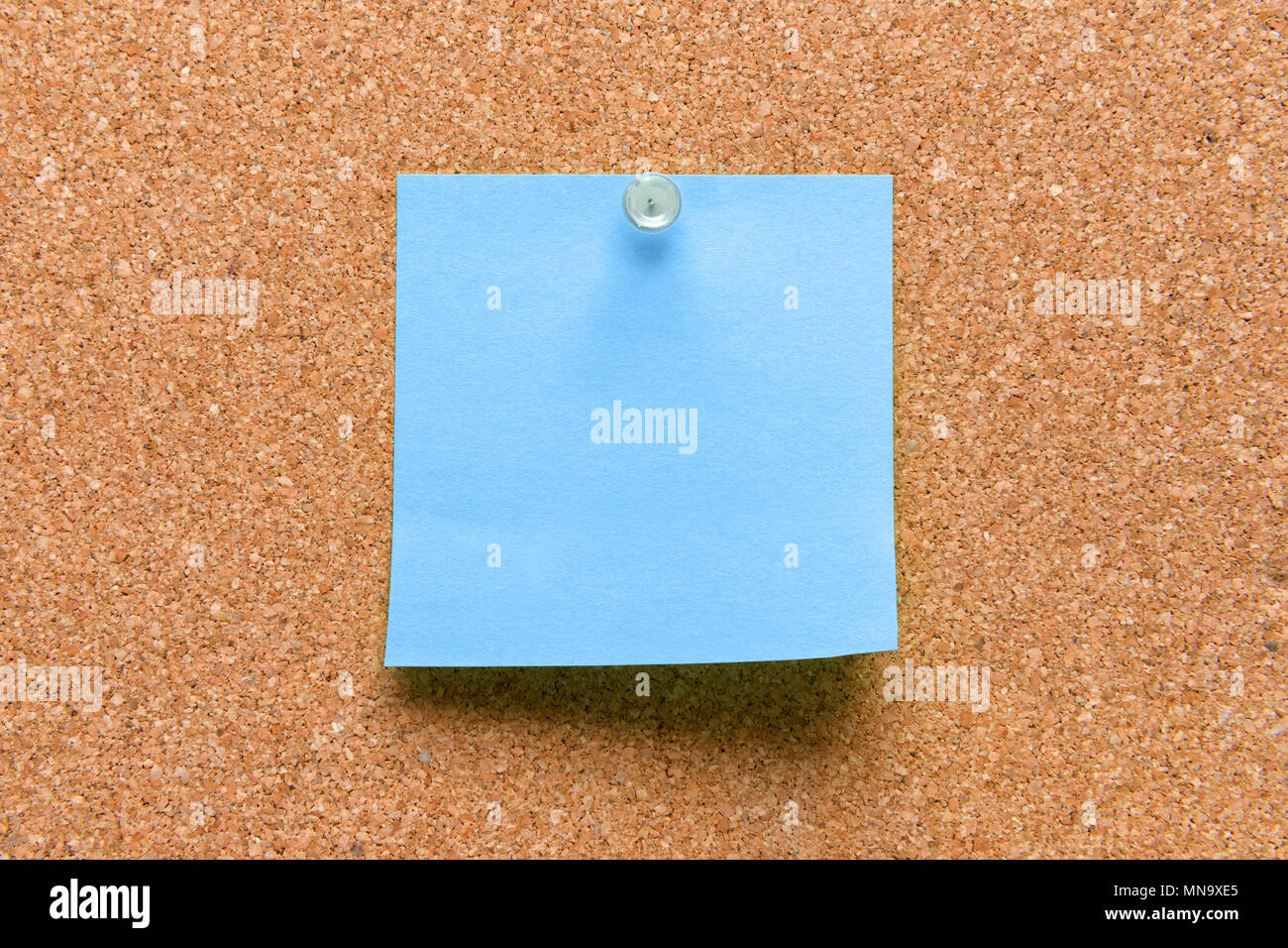 empty square blue pinned sheet on a brown cork reminder Stock Photo - Alamy