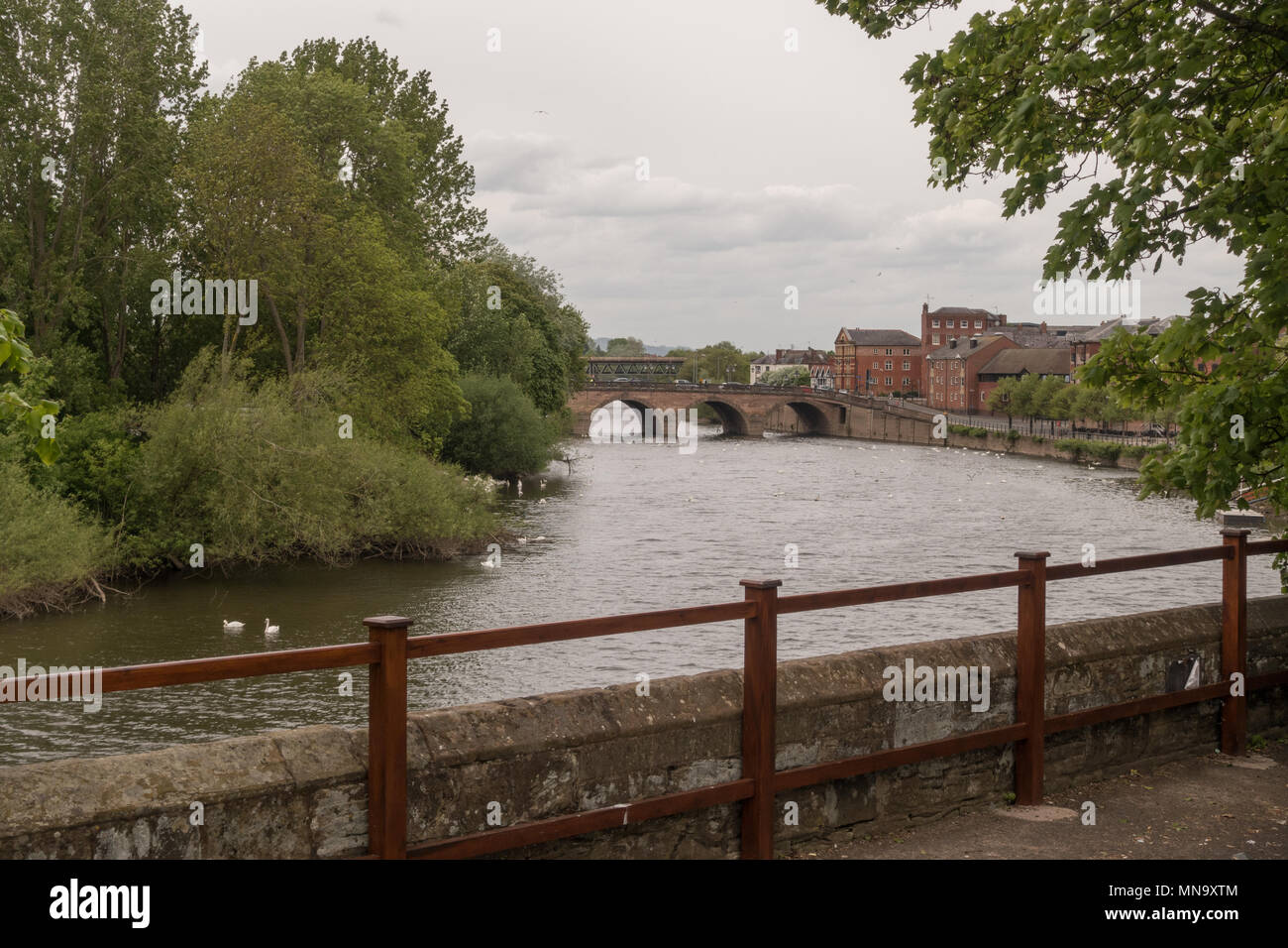 The river Severn running through English Cathedral city of Worcester ...