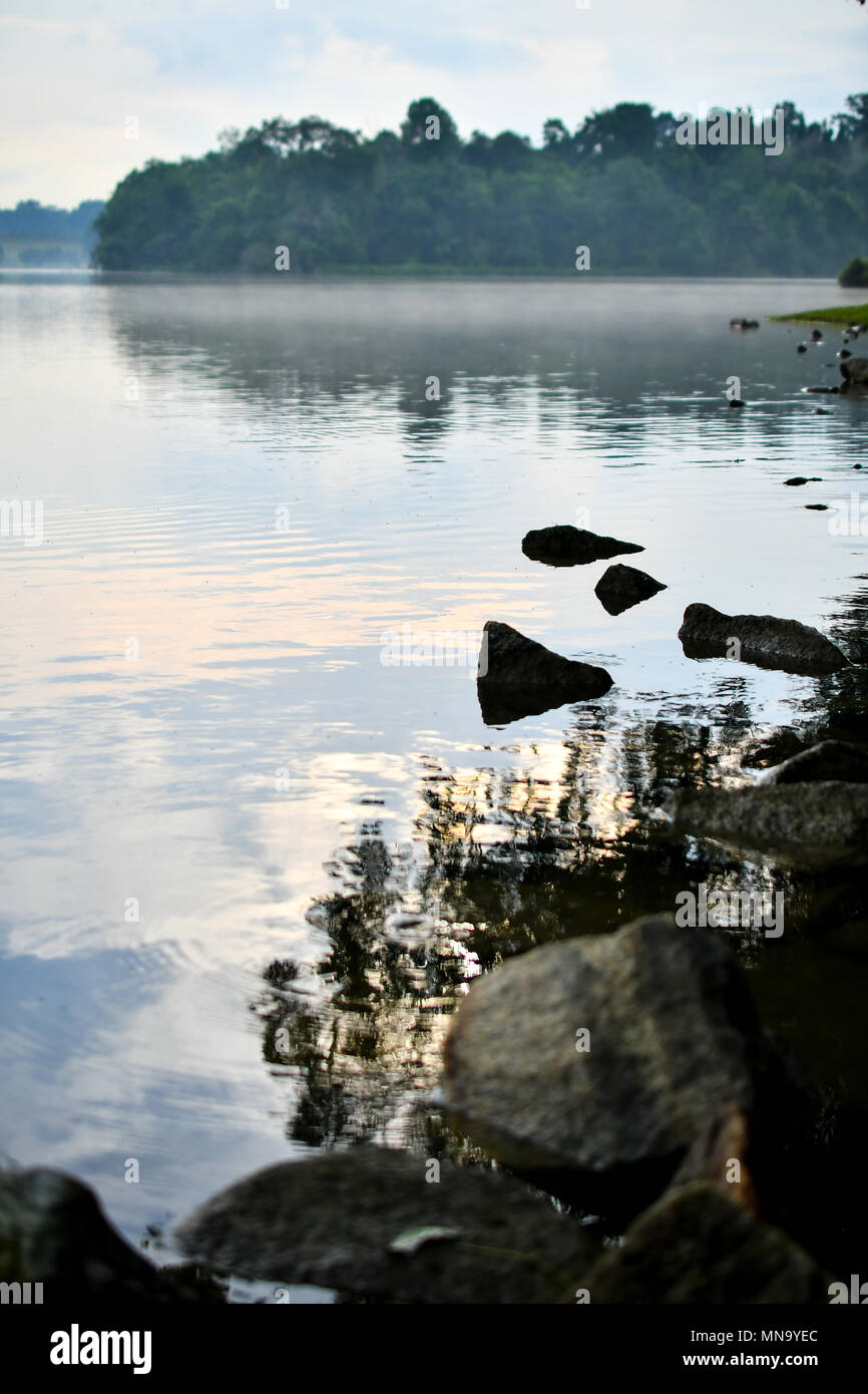 calm water rocky rainforest Stock Photo - Alamy