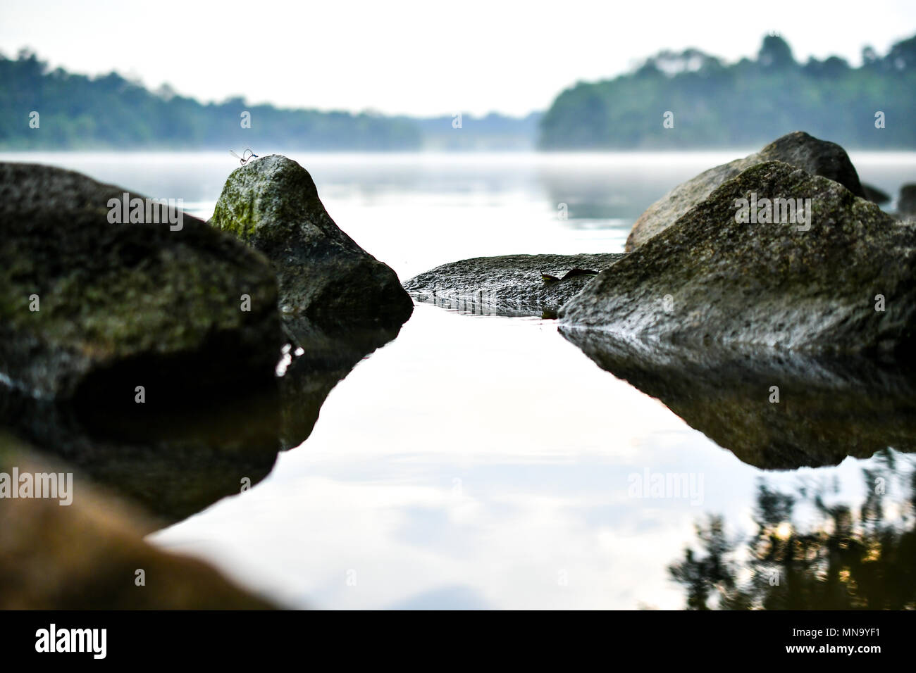 calm water rocky rainforest Stock Photo - Alamy