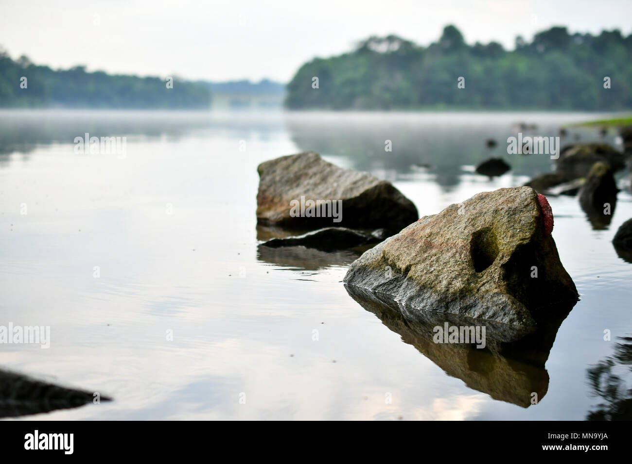 calm water rocky rainforest Stock Photo - Alamy