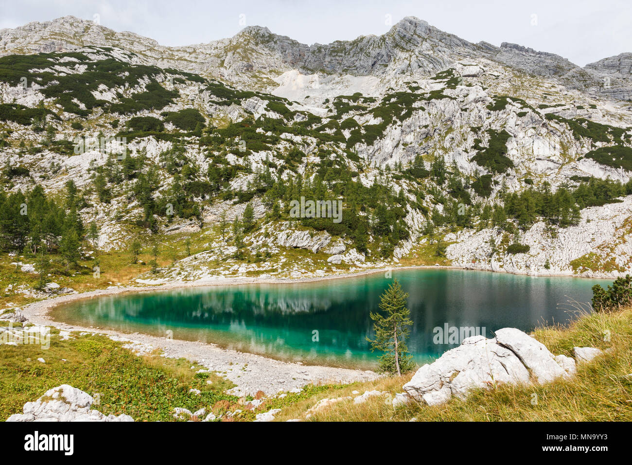 Valley of the seven lakes in Triglav national park during summer ...