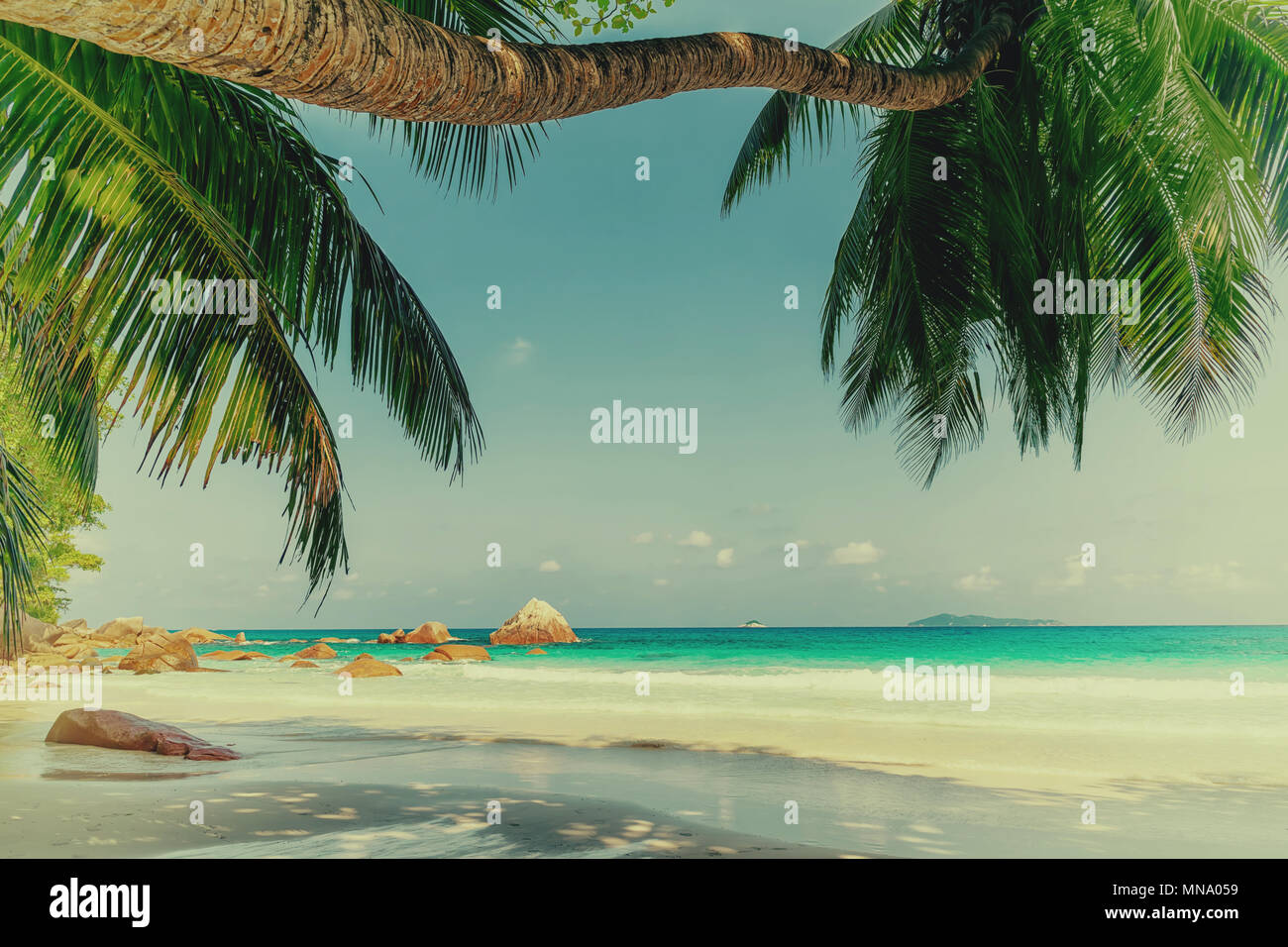 Dreamy tropical island beach hi-res stock photography and images - Alamy
