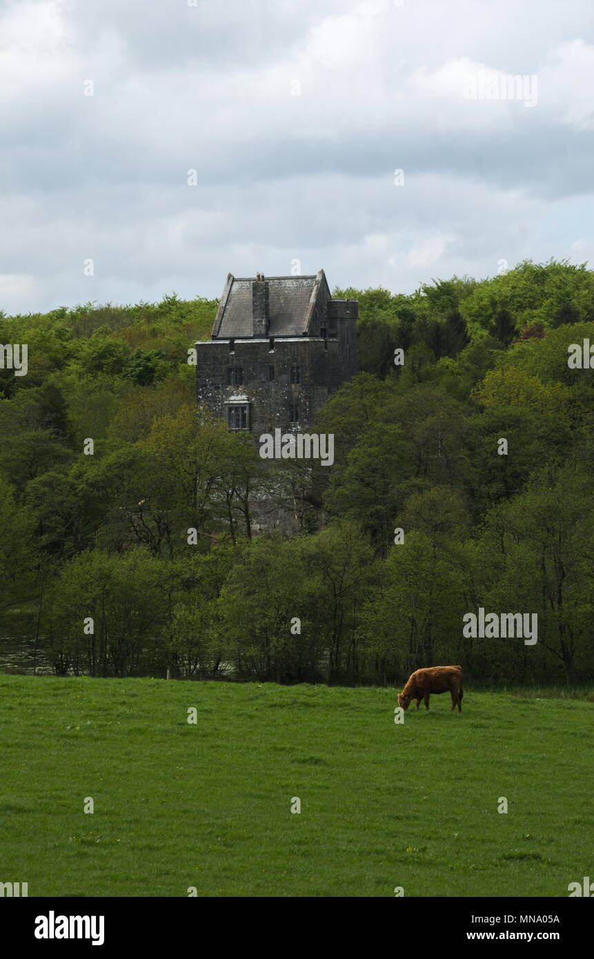 Craggaunowen castle hi-res stock photography and images - Alamy