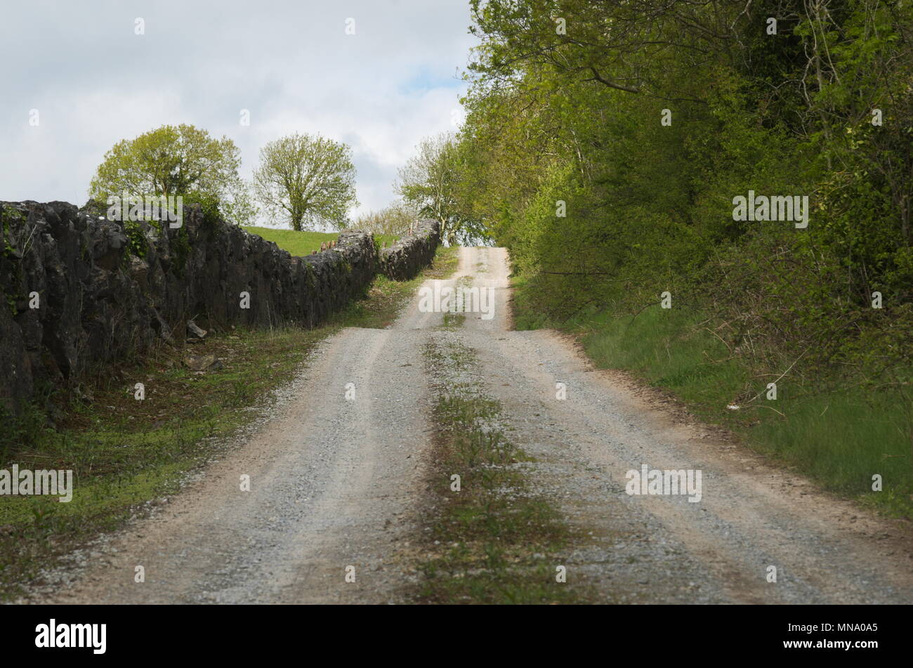 A country lane in Ireland Stock Photo - Alamy