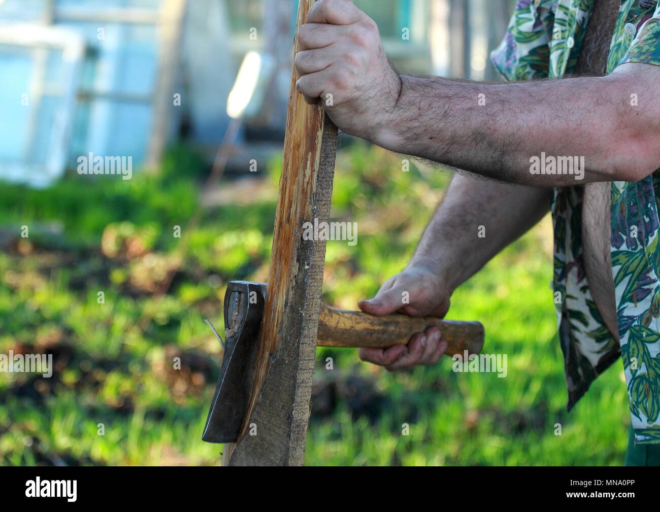 Wood cutter hi-res stock photography and images - Alamy