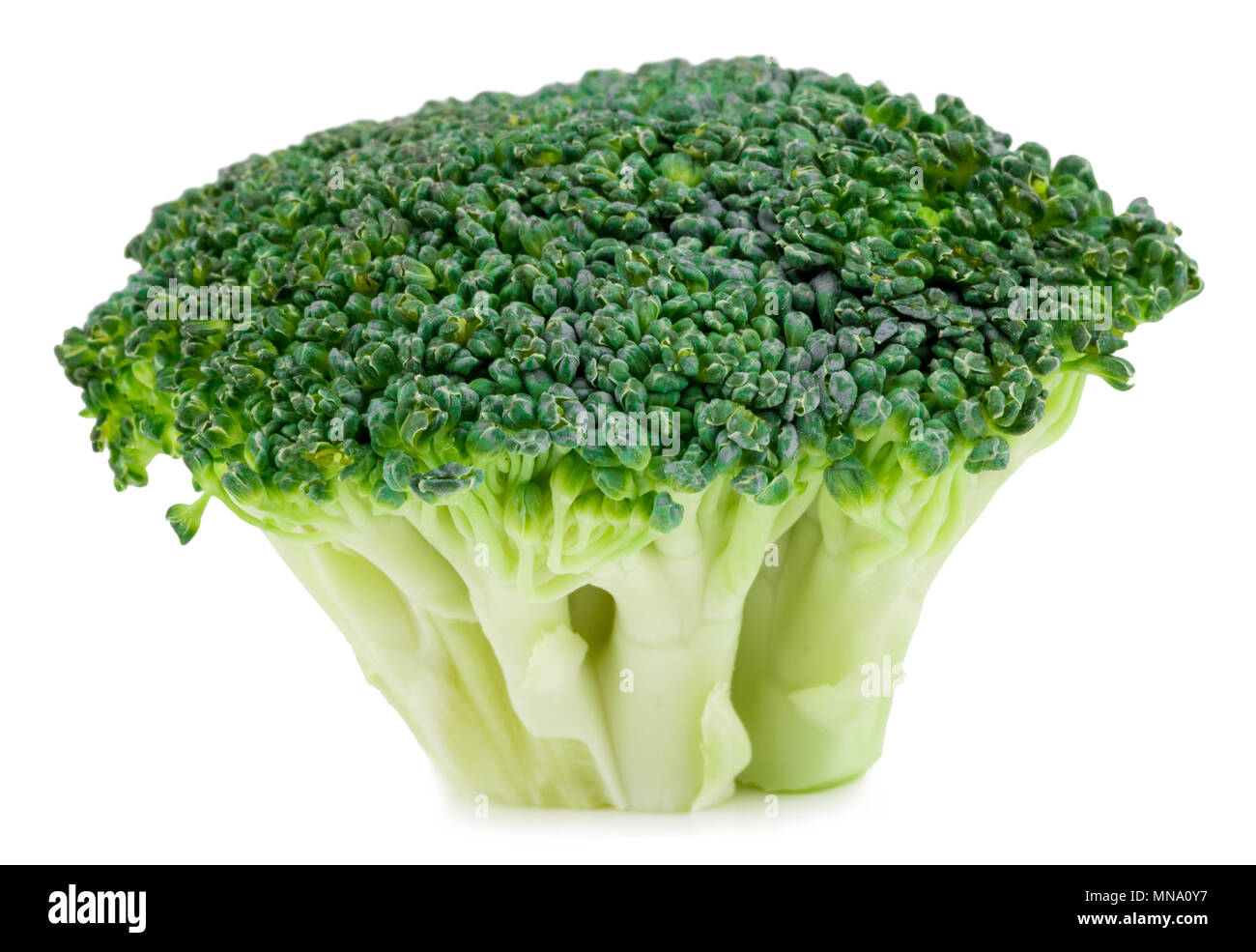 Fresh broccoli isolated on white background. With clipping path. Full ...