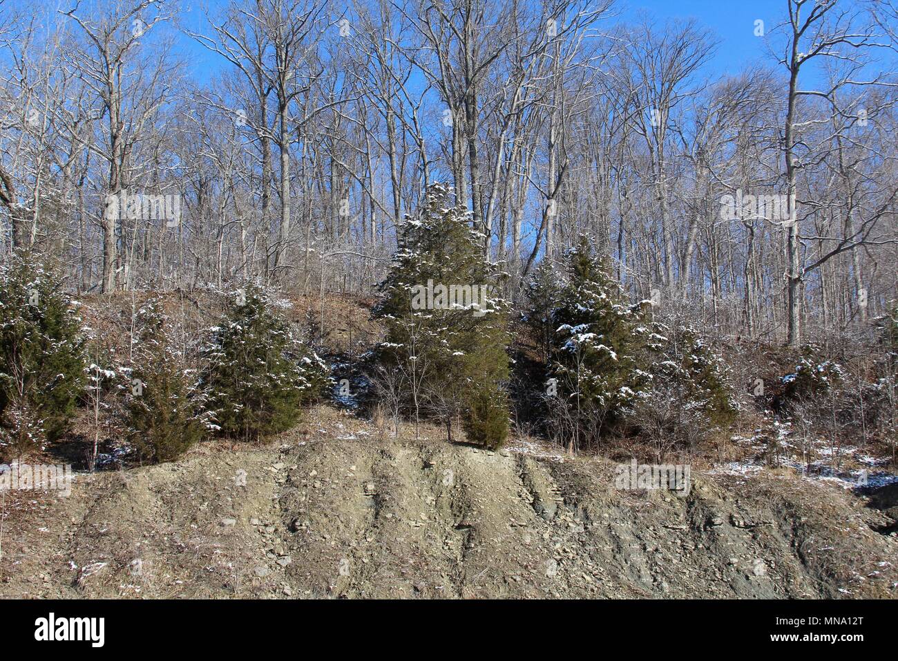 The snowy landscape at Caesar Creek State Park in southwestern Ohio ...