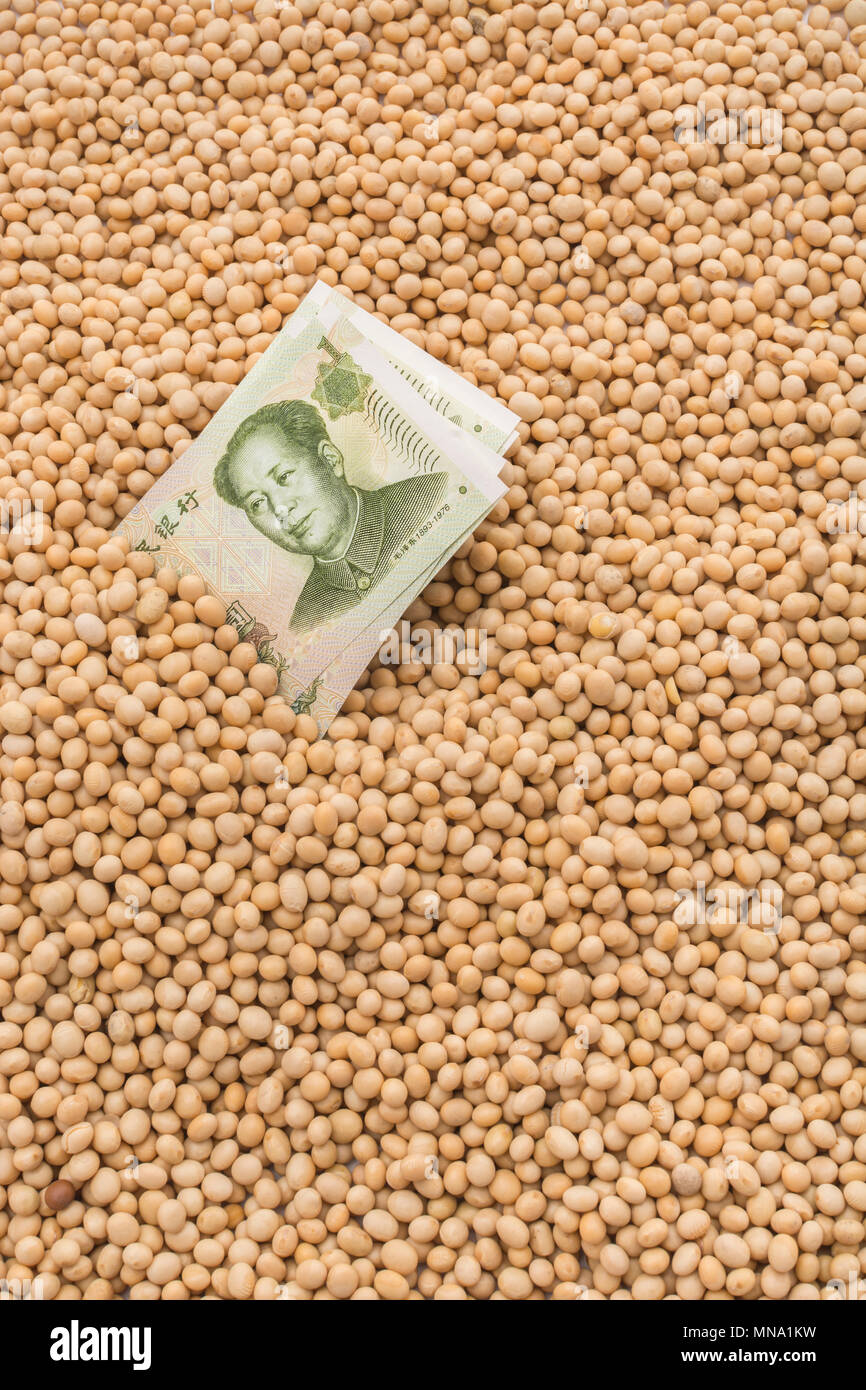 China US soy bean tariffs concept - Chinese Renminbi banknote with ...