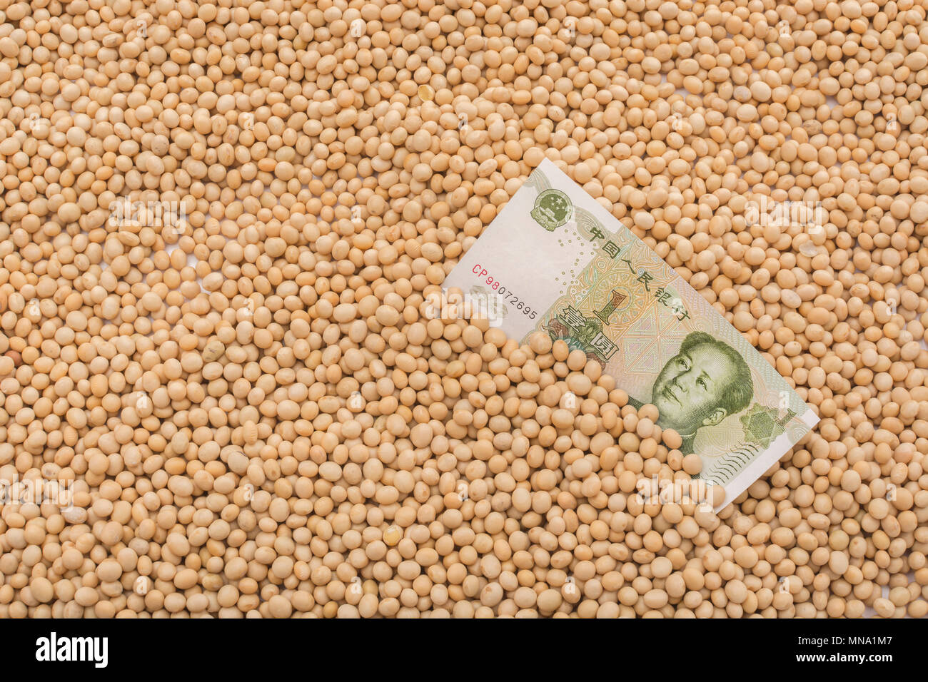 China US soy bean tariffs concept - Chinese Renminbi banknote with ...