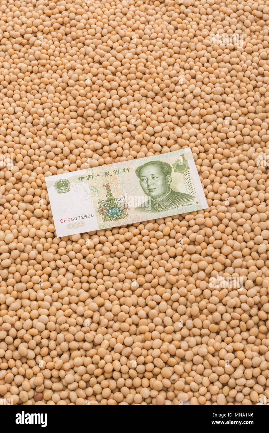 China US soy bean tariffs concept - Chinese Renminbi banknote with ...
