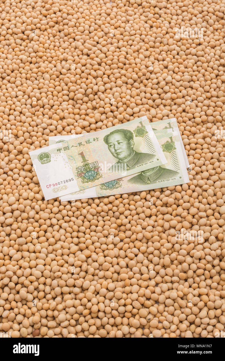 China US soy bean tariffs concept - Chinese Renminbi banknote with ...