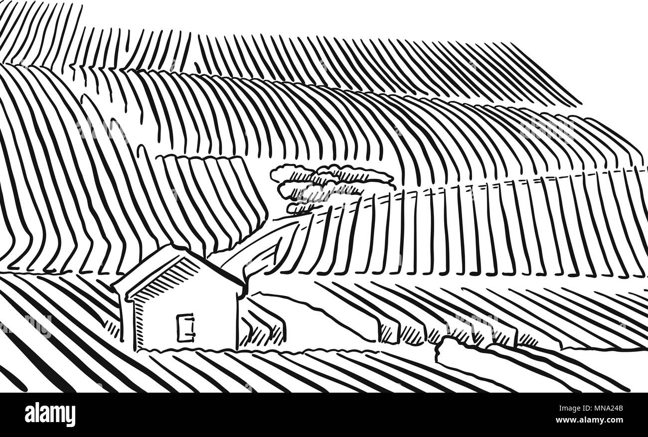 Small vineyard Stock Vector Images - Alamy